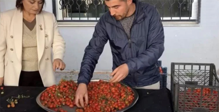 Pazarcılık yapan felsefe öğretmeni anlattı: ‘Gençler neden yurt dışına ... Pazarcılık yapan felsefe öğretmeni anlattı: ‘Gençler neden yurt dışına ...